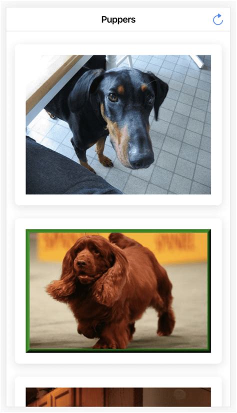 Using React Hooks In Ionic React Ionic Blog