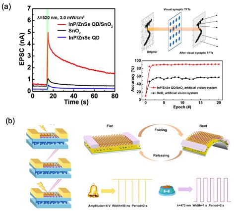 Low Dimensional Materials Based Flexible Artificial Synapse Materials Devices And Systems