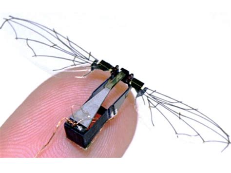 Meet The Worlds Smallest Robot Its The Size Of Fly And Capable Of Flight Advanxis