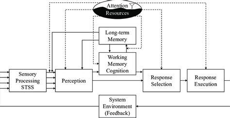 3 Qualitative Model Of Human Information Processing By Wickens Download Scientific Diagram