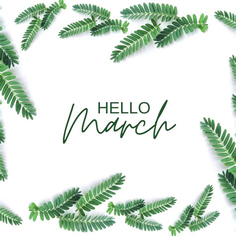 Technicalwriting Documentationengineering Allthingstech Deborah Emeni