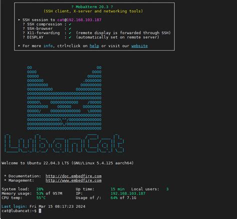 Ssh终端登录与网络共享 — 野火 Linux基础与应用开发实战指南——基于lubancat 全志系列板卡 文档