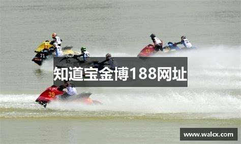 金博宝娱乐城官网直营