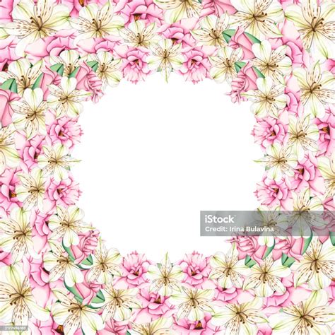 흰색과 분홍색 꽃의 꽃 화환 백합과 Alstroemeria의 수채화 프레임 백합이 클로즈업된 구도 그래픽 디자인 장식 제품