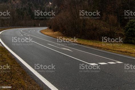 빈 아스팔트 자동차 도로 흰색 표시 라인 도시 조경 개체 곡선 경로 방법 황혼 조명 시간을 둘러싼 국가 측 숲 자연에서 질감