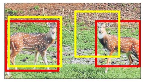 Evaluating Object Detection Models Using Mean Average Precision Kdnuggets
