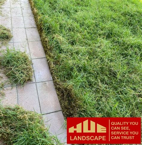 Grass Cutting Lawn Mowing Singapore Book In 60 Seconds