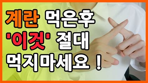 계란 먹은후 이것 절대 먹지마세요 계란과 최악의 궁합 그리고 최고의 궁합 음식들 Youtube