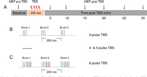 Figure 2 From A High Density Theta Burst Paradigm Enhances The