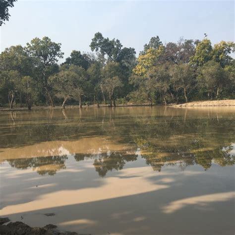 Stream Dechen S Yeshi Music Listen To Songs Albums Playlists For