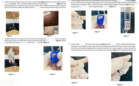 Diagram Of Practical 12 Problems In Fluid Therapy Setting Up Fluids For Equids Quizlet