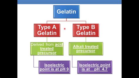 Gpat Cracker Types Of Gelatin Youtube