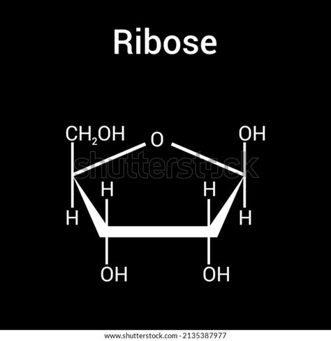 Ribose Ring Structure