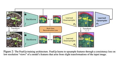 Featup A Machine Learning Algorithm That Upgrades The Resolution O