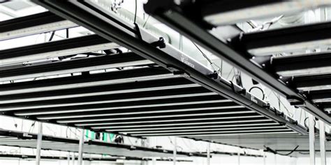 Par Ppf Ppfd And Dli Explained Eco Growtech