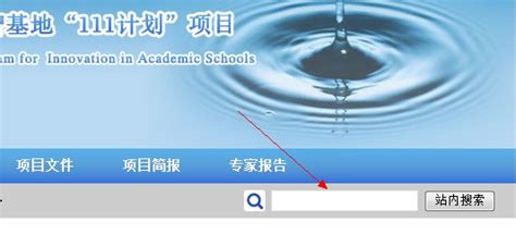 css样式中input和img在同一行居中对齐 飞虫博客