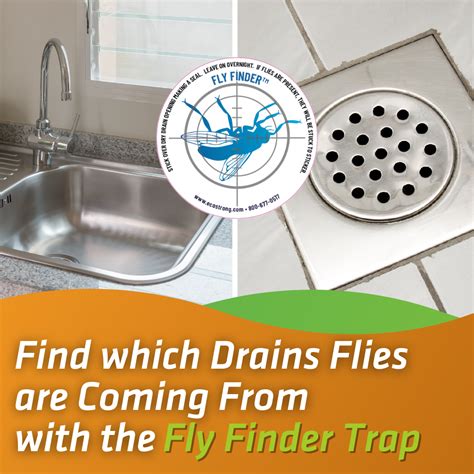 Drain And Fruit Fly Eliminator Remove Gnats Sewer Flies And More