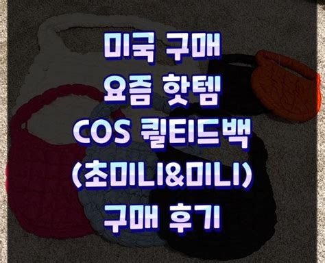 리뷰 미국 구매 요즘 핫템cos 퀼티드백초미니and미니 구매 후기 네이버 블로그