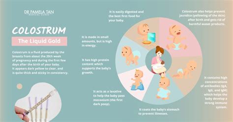 Empowering Antenatal Care Benefits Of Colostrum Expression