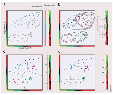 A Simple Clustering Example With 40 Genes Measured Under Two Different