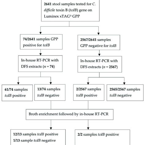 Flow Diagram Of Testing Algorithm Using The Gpp Dfs Rt Pcr And Pe