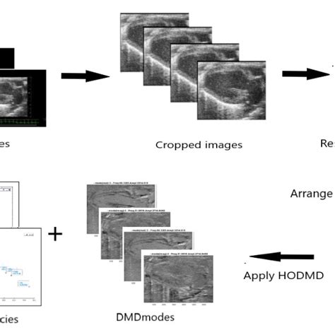Schematic Diagram For The Higher Order Dynamic Mode Decomposition Download Scientific Diagram