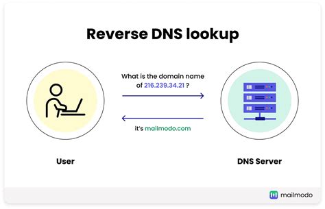 How To Use Reverse DNS Lookup To Your Advantage
