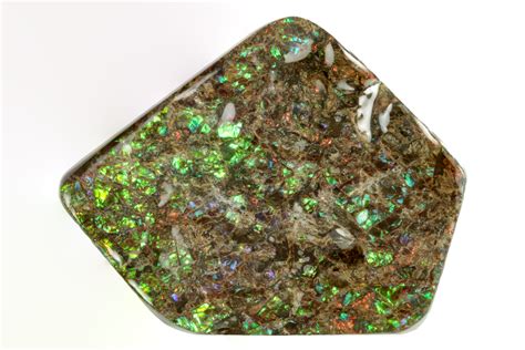 14 Iridescent Ammolite Fossil Ammonite Shell Alberta 243010