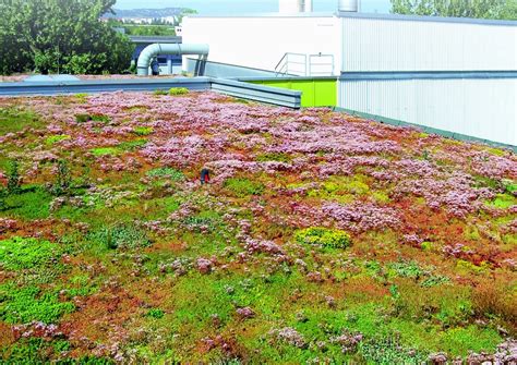 Toiture V G Talis E R Alisations De Toitures Plates Toitures Terrasses Epdm Tpo