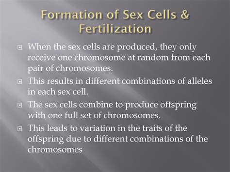 Probability And Punnett Squares Ppt Download