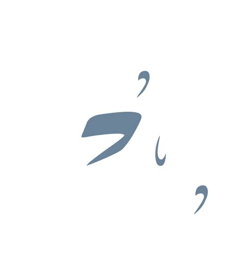 Portfolio Shady Elyaski