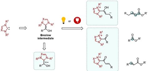 Synthesis Journal Article On Nhcs For Carbonyl Synthesis Rohit Bhatia Posted On The Topic