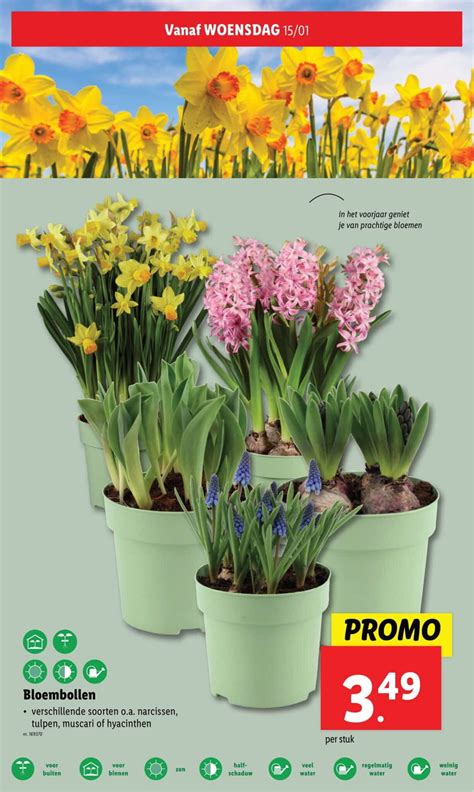 Lidl Folder 15 Januari T M 21 Januari 2025