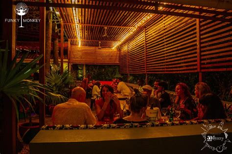 Funky Monkey Diani Kenya