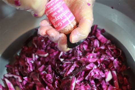 독일 국민 음식 사우어 크라우트