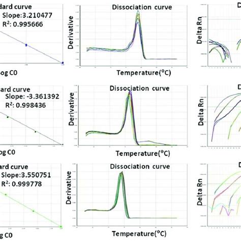 Representative Standard And Dissociation Curves And Amplification Plots
