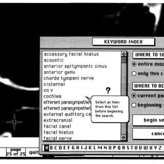 Simple Key Word Search Function Download Scientific Diagram