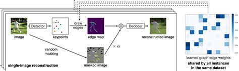 Autolink Self Supervised Learning Of Human Skeletons And Object Outlines By Linking Keypoints