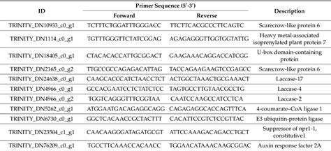 Table 1 From Integrated Srna Seq And Rna Seq Analysis Reveals The