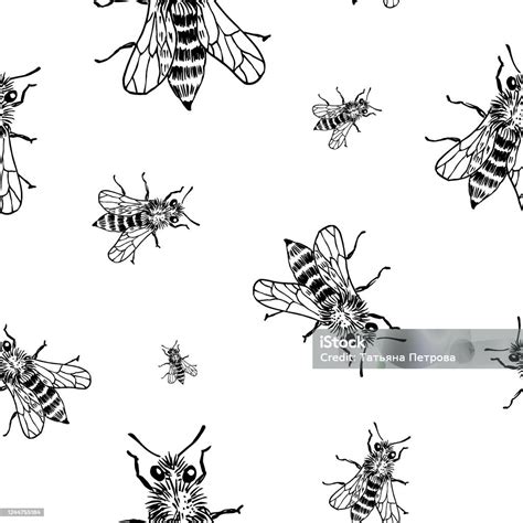 꿀벌 스케치 패턴입니다 투명 한 배경에 손으로 그린 곤충 꿀벌입니다 원활한 벡터 배경 고대의에 대한 스톡 벡터 아트 및 기타 이미지 고대의 곤충 그리기 Istock