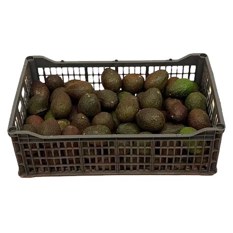 Caja De Aguacate Hass · 10kg Dac Cancún