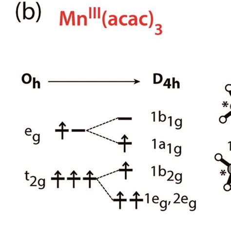 Schematic Molecular Orbital Diagrams Ground State Electron Download Scientific Diagram