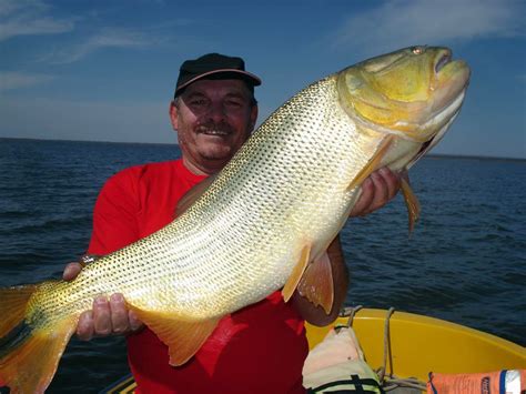 Dónde Ir A Pescar Este Fin De Semana ~ Pesca ~