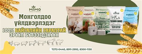 Өвөрхангай 🏥 Өвөрхангай аймгийн Бат Өлзий сумын Эрүүл Мэндийн төвийн Сувилагч Б Дуламдорж