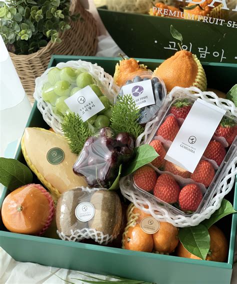 프리미엄 혼합과일 미디움 고이담아