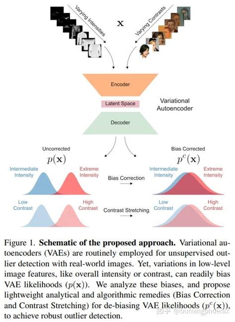 2100robust Outlier Detection By De Biasing Vae Likelihoods Cvpr 2022
