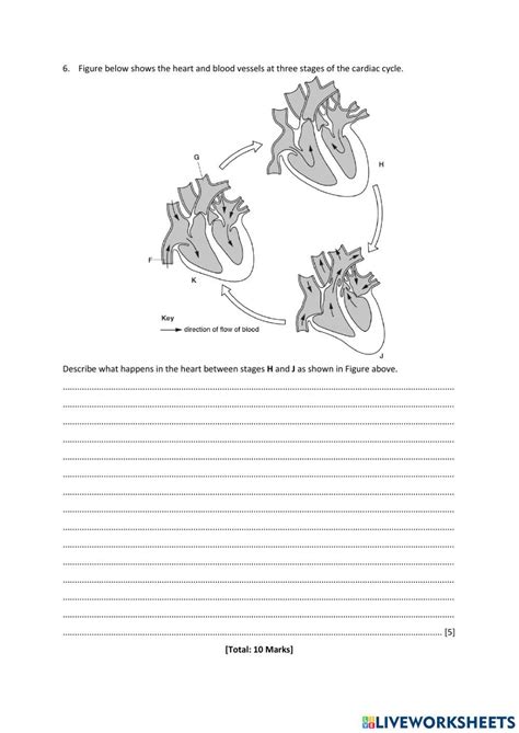 The Cardiac Cycle Online Exercise For Live Worksheets Worksheets Library