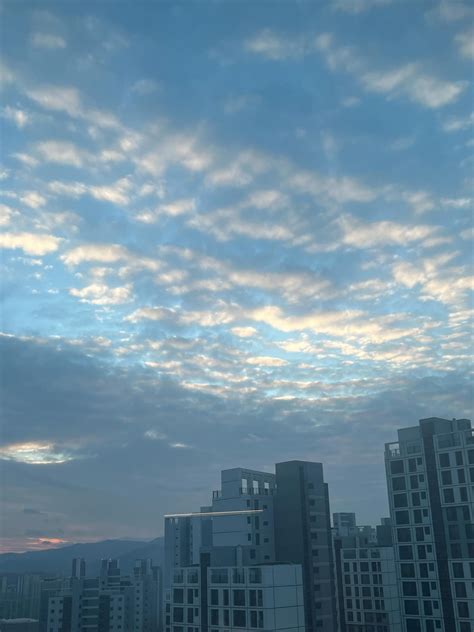 최근에 조금 특이한 세미나를 진행했어 ‘맛있는 지금이라고 바로 죽음에 대한 세미나야👻 신기하지 거기서 유언 쓰는 시간을 가져서 난 가족들에게 줄 재산을 나누어봤어