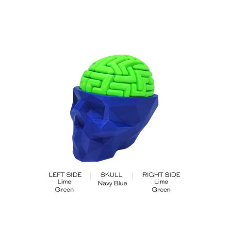 3d Brain Puzzle 3d 🧠 Puzzle 28 Left Brain Pieces And 28 Right Brain