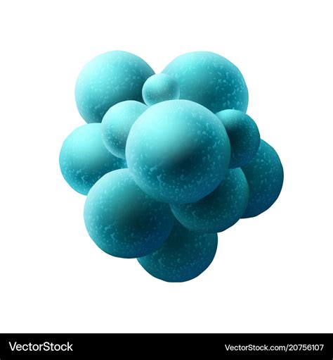 Staphylococcus Aureus Bacteria Royalty Free Vector Image